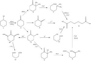 Adipic Acid: Properties, Production And Uses
