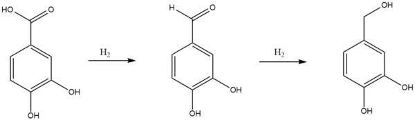 Protocatechuic Acid: Properties, Production And Uses