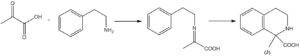 Acide Pyruvique : Propriétés, Réactions, Production Et Utilisations