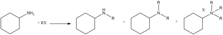 Cyclohexylamine: Properties, Reactions, Production And Uses