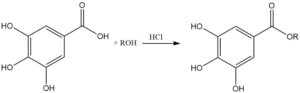 Gallic Acid: Properties, Reactions, Production And Uses